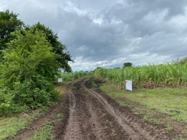 Land for sale, Tambon Chai Badan, Amphoe Chai Badan. Lopburi Province