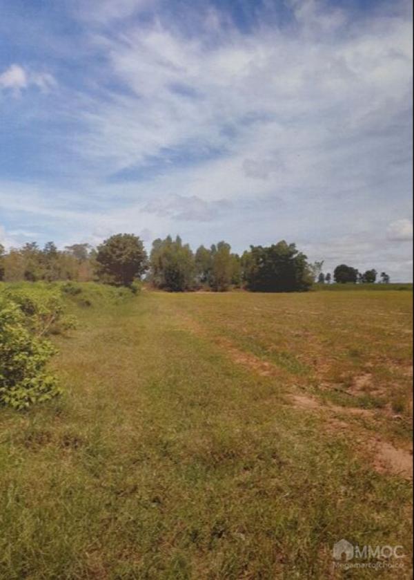 Very cheap for sale, beautiful land, Na Chueak District, Maha Sarakham